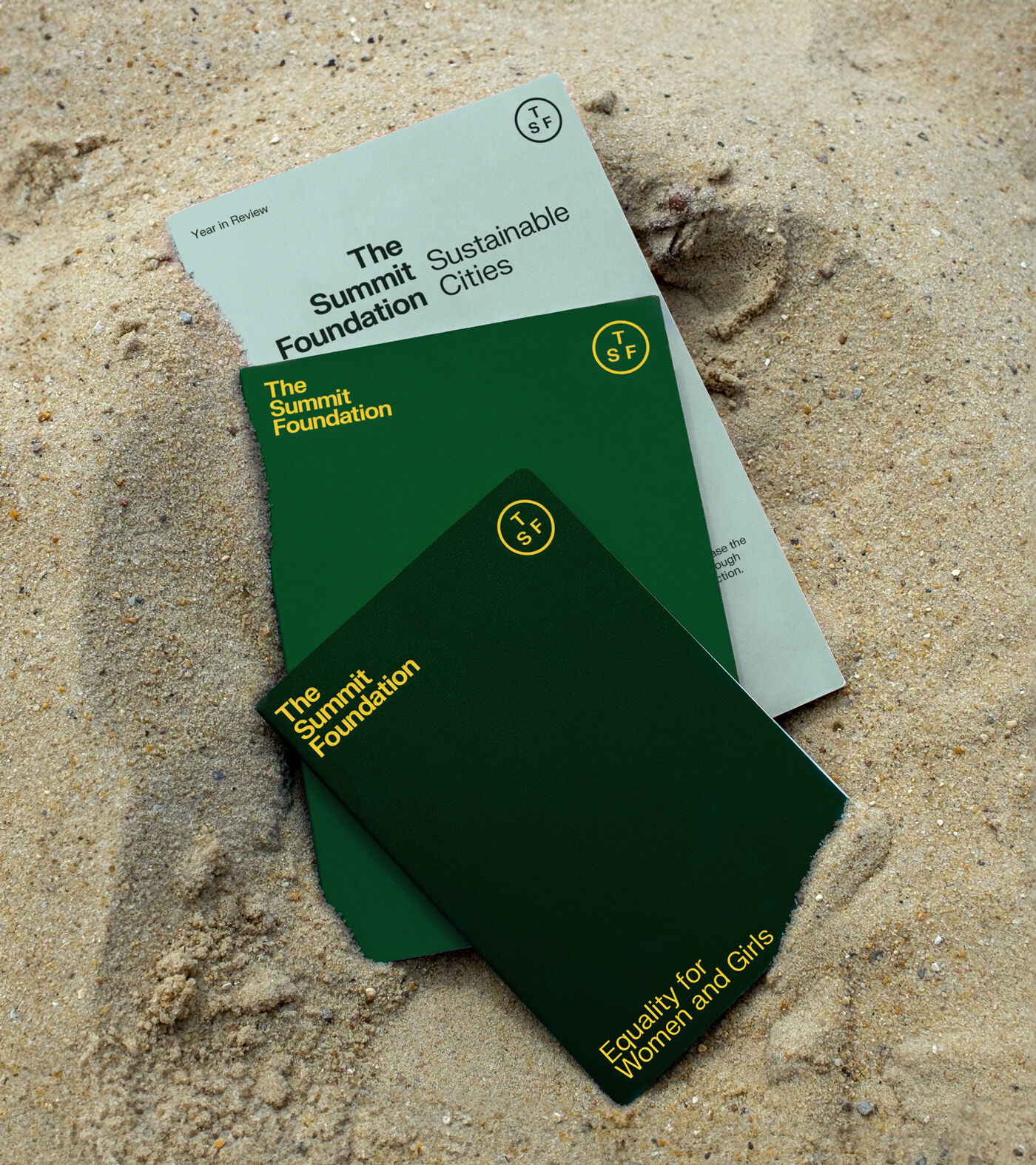 The Summit Foundation — Studio Blackburn